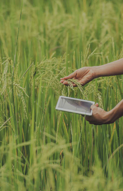 Revolutionize Your Farming With Sustainable Agri-inputs