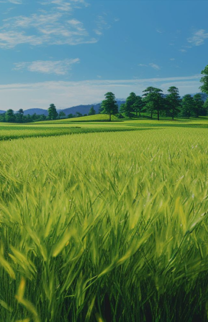 Revolutionize Your Farming With Sustainable Agri-inputs