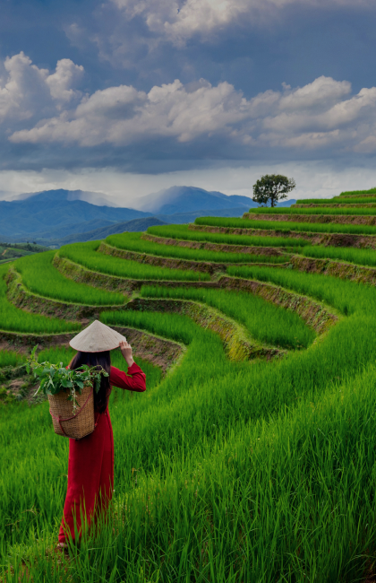 Revolutionize Your Farming With Sustainable Agri-inputs